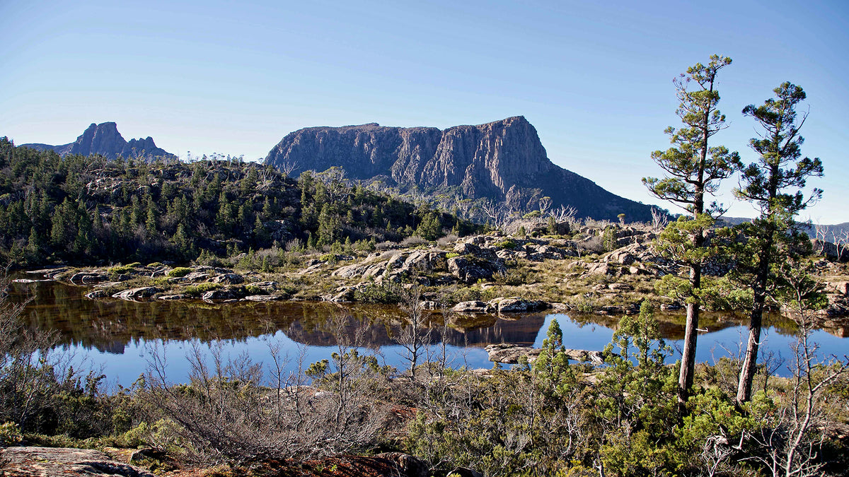 Field Guide To Tasmania's Dolerite – Keep Tassie Wild