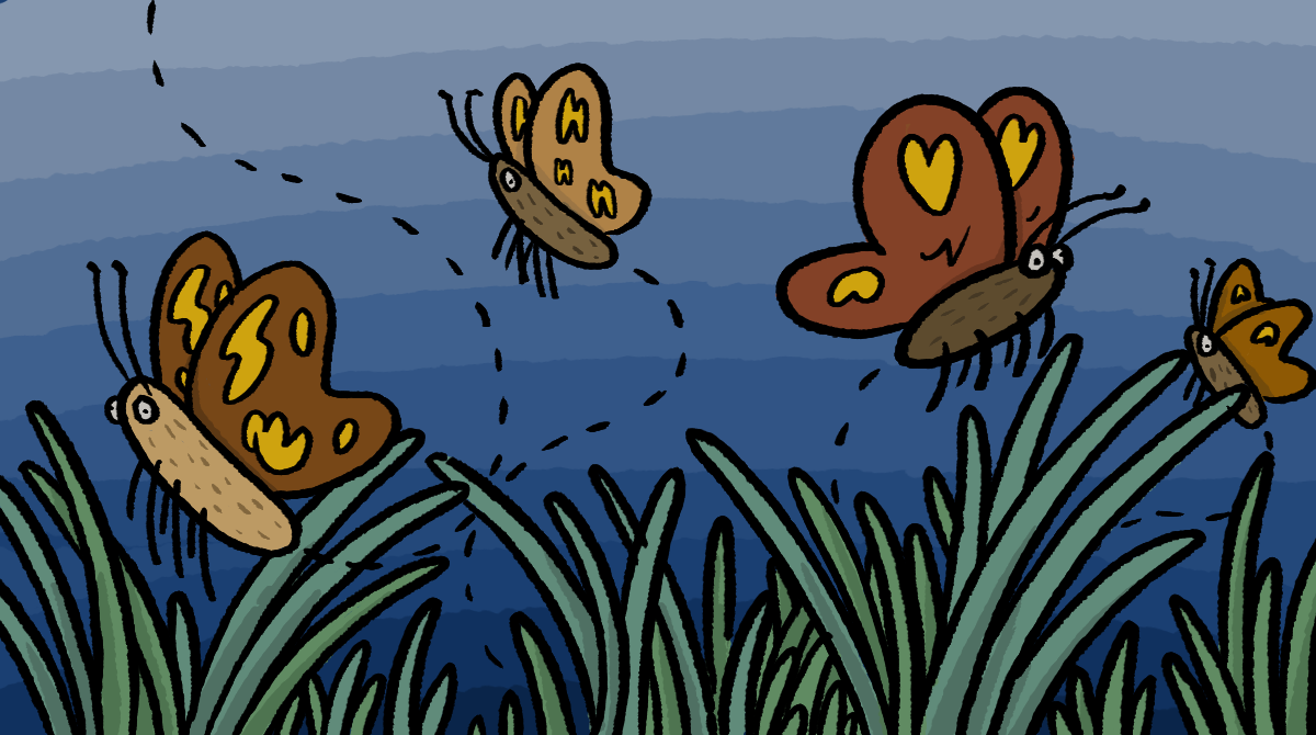 Chasing Tasmanian Butterflies | KTW Journal – Keep Tassie Wild